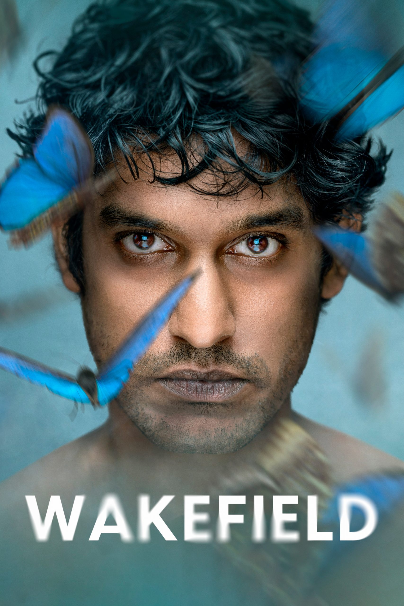 Wakefield: La fina línea entre la cordura y la locura llega a Filmin