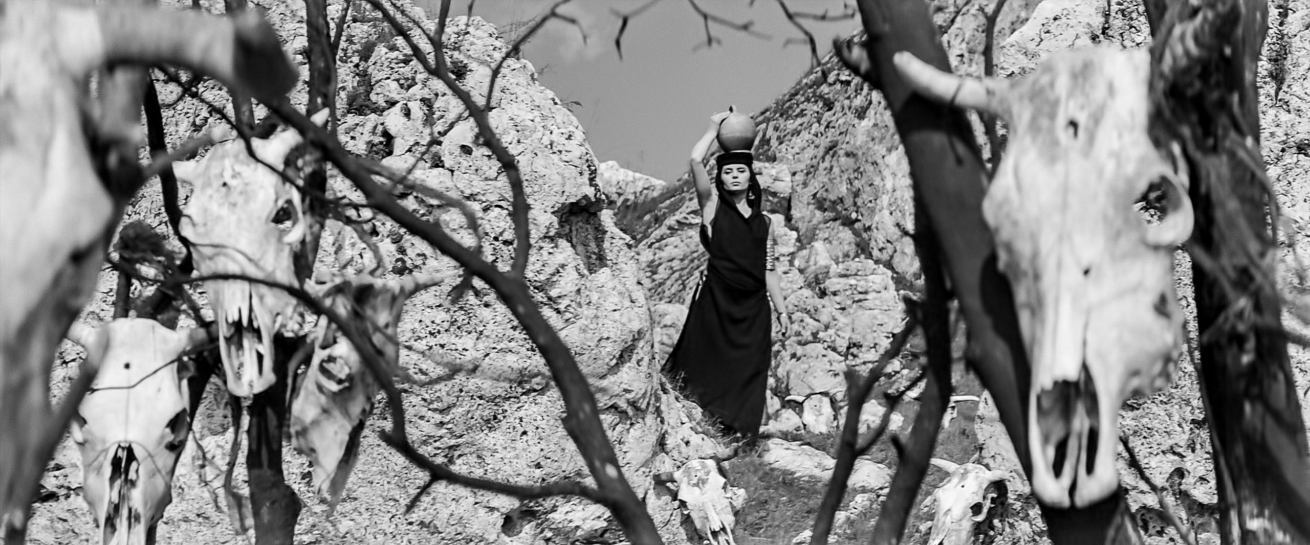 Muestra de Wojciech Jerzy Has organizada por AVA Arts Foundation – No ...